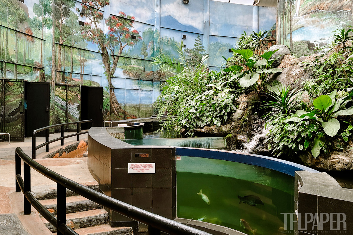 Satu Hari di Taman Mini Indonesia Indah